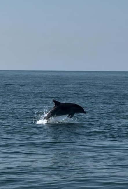 Milano Marittima: Riviera Romagnola Half-Day Boat Tour - Guide and Crew Experience