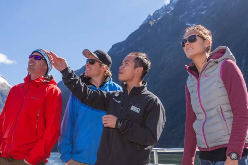 Milford Sound: 2-Hour Small Boat Scenic Cruise - How the Tour Compares to Others