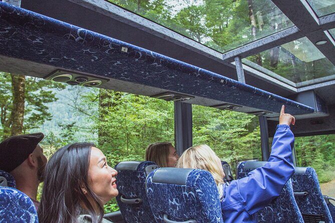 Milford Sound Coach and Cruise tour from Queenstown - Key Points