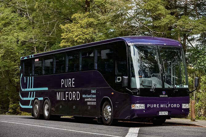 Milford Sound Coach and Cruise tour from Queenstown - The Value & Practicalities