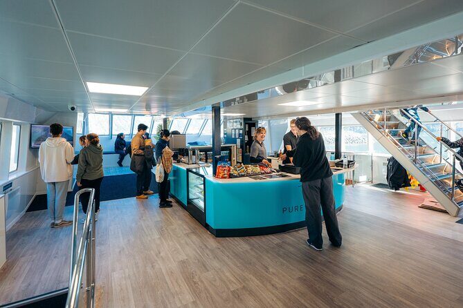 Milford Sound Coach & Cruise Tour from Te Anau - Who Is This Tour Best For?