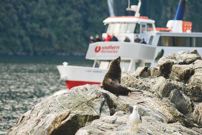 Milford Sound Coach & Extended Cruise from Queenstown - Final Return & Reflection