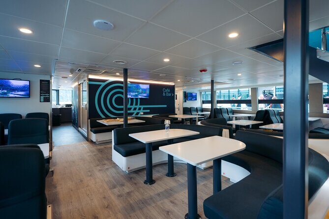 Milford Sound Cruise - Practical Details and What to Expect