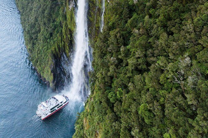 Milford Sound Cruise - The Sum Up: Who Will Love This Tour?