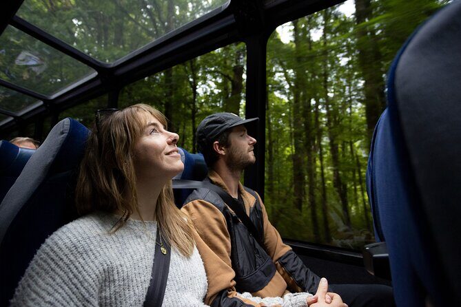 Milford Sound Cruise from Queenstown or Te Anau - The Sum Up