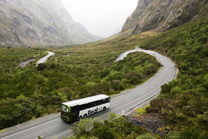 Milford Sound Cruise from Queenstown or Te Anau - FAQ
