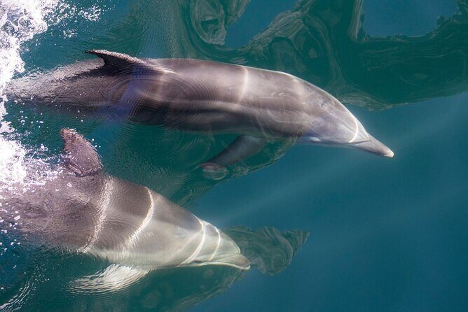 Milford Sound Extended Cruise with Southern Discoveries - The Sum Up