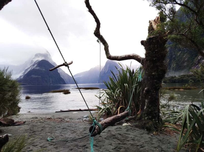 Milford Sound, Mount Cook & More: 4 Day Tour from Auckland - Is It Worth the Price?