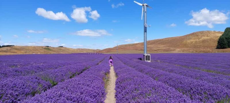 Milford Sound, Mount Cook & More: 4 Day Tour from Queenstown - Final Thoughts: Who Will Love This Tour?