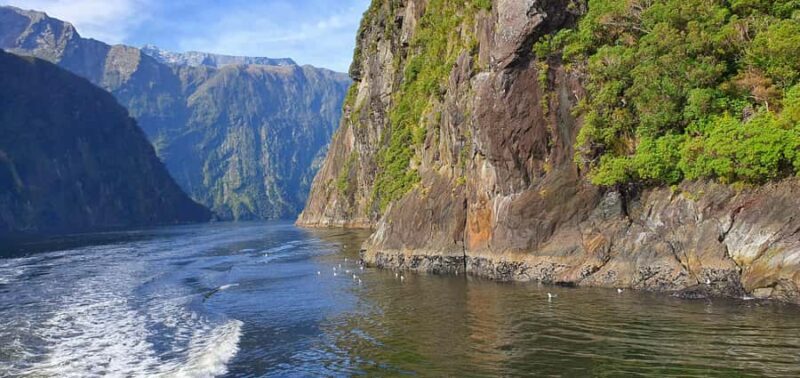 Milford Sound, Mount Cook & More: 4 Day Tour from Queenstown - FAQ