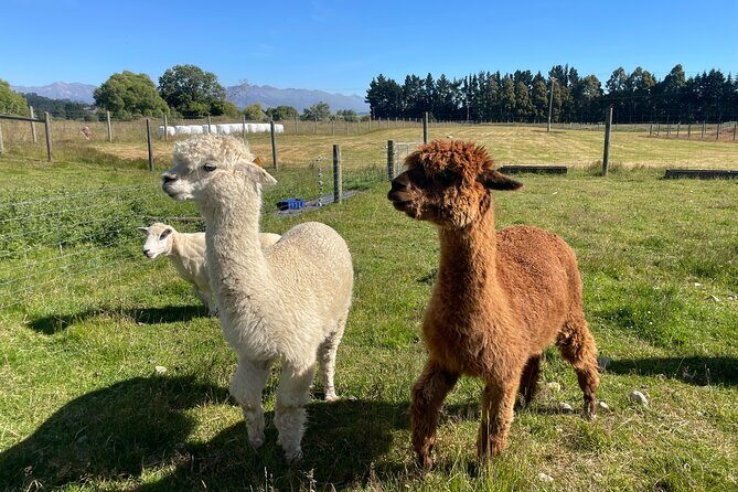 Milford Sound Nature and Te Anau Farm Visit Over 2 Days - Key Points