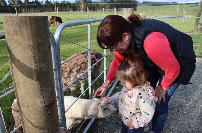 Milford Sound Nature and Te Anau Farm Visit Over 2 Days - What’s Special About This Tour?