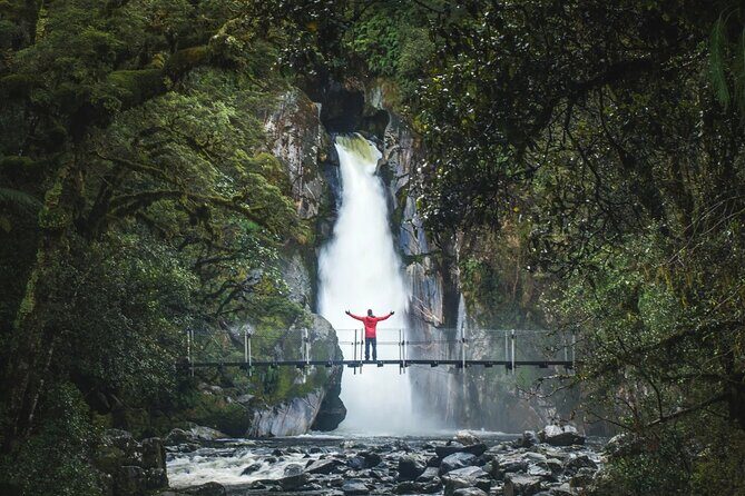 Milford Sound Nature Cruise and Self-Guided Scenic Track Walk - Key Points
