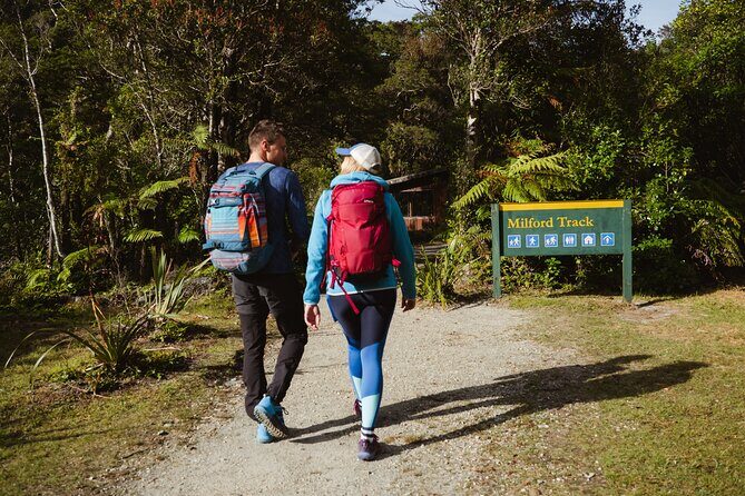 Milford Sound Nature Cruise and Self-Guided Scenic Track Walk - Who Is This Tour Best For?