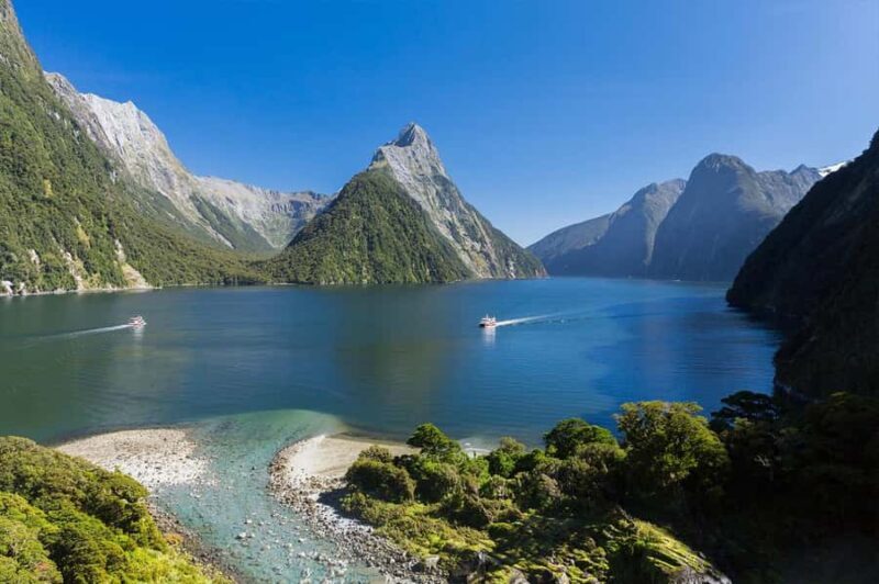 Milford Sound: Nature Cruise & Milford Track Walk - The Experience in Detail