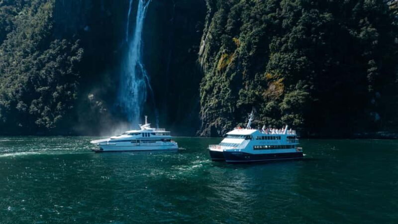 Milford Sound: Nature Cruise on a Modern Catamaran - Final Thoughts