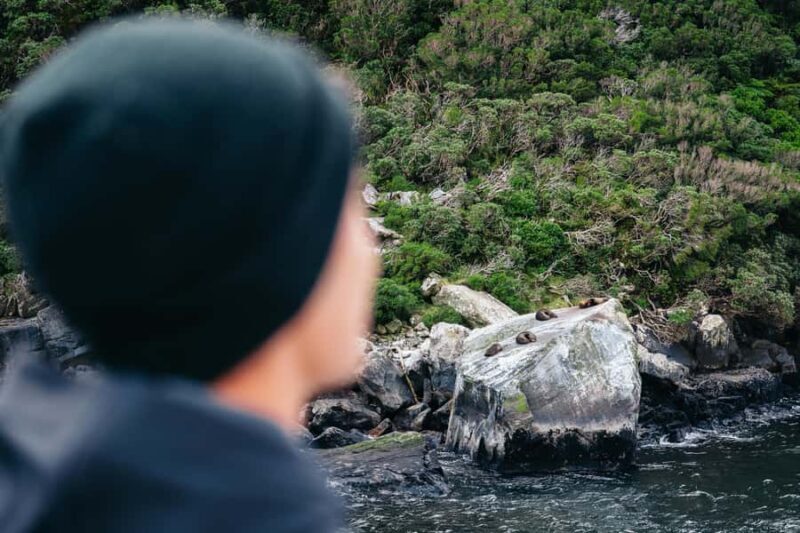 Milford Sound: Nature Cruise on a Modern Catamaran - FAQ