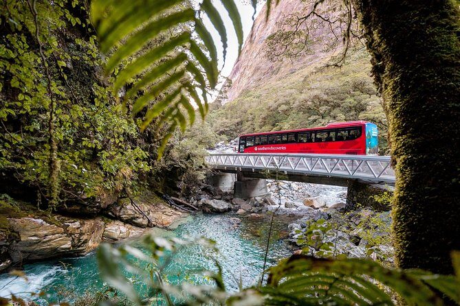 Milford Sound Premium Coach and Cruise with Lunch from Te Anau - Practical Details and Tips  