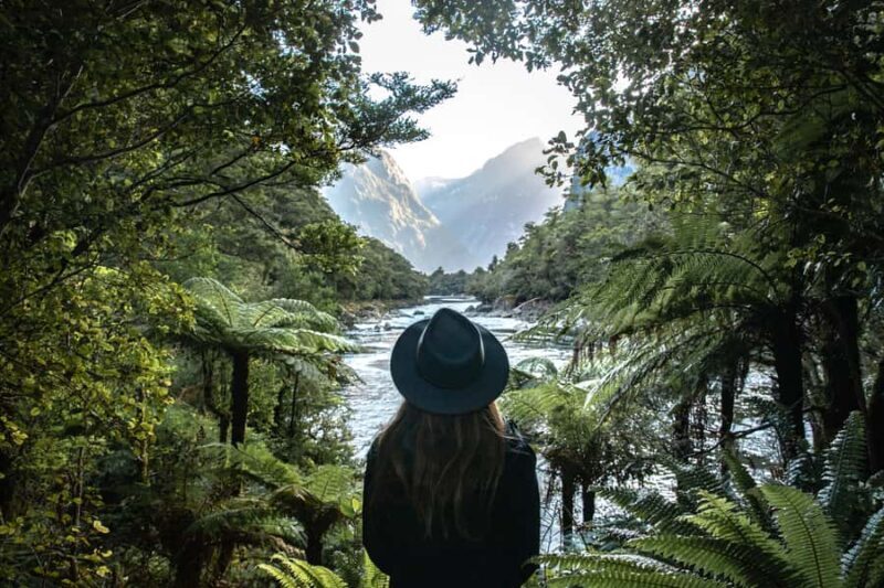 Milford Sound: Self-Guided Milford Track Day Walk - What’s Notable About the Experience
