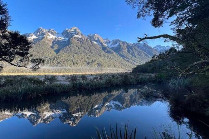Milford Sound Small Group Day Tour From Queenstown - An Overview of the Tour Experience