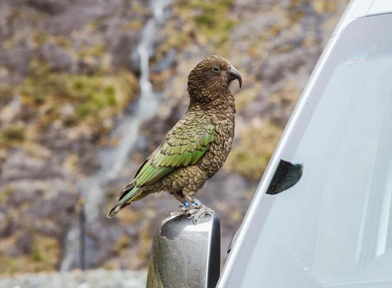Milford Sound: Small-Group Tour from Te Anau - The Sum Up