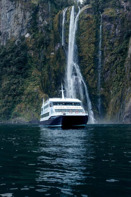 Milford Sound: Waterfalls, Wildlife, and Rainforest Cruise - The Value of This Experience