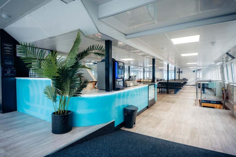 Milford Sound: Waterfalls, Wildlife, and Rainforest Cruise - Final Thoughts