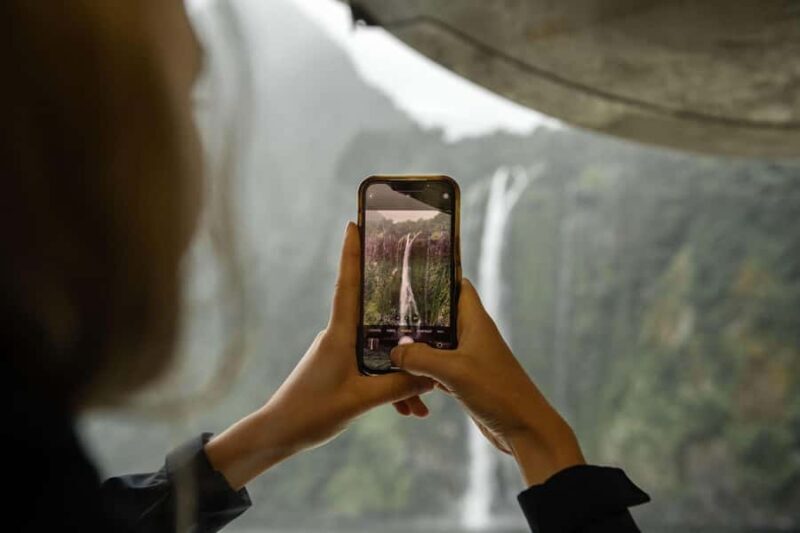 Milford Sound: Wildlife & Nature Cruises - A quick intro