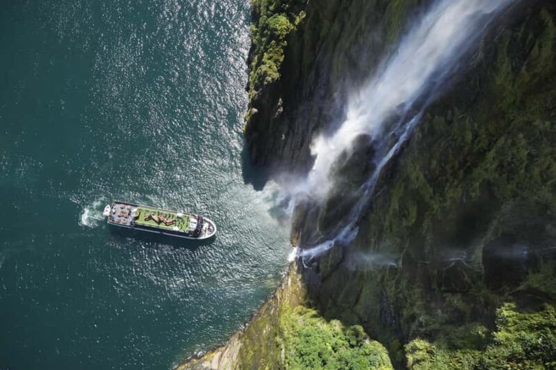 Milford Sound: Wildlife & Nature Cruises - Final thoughts