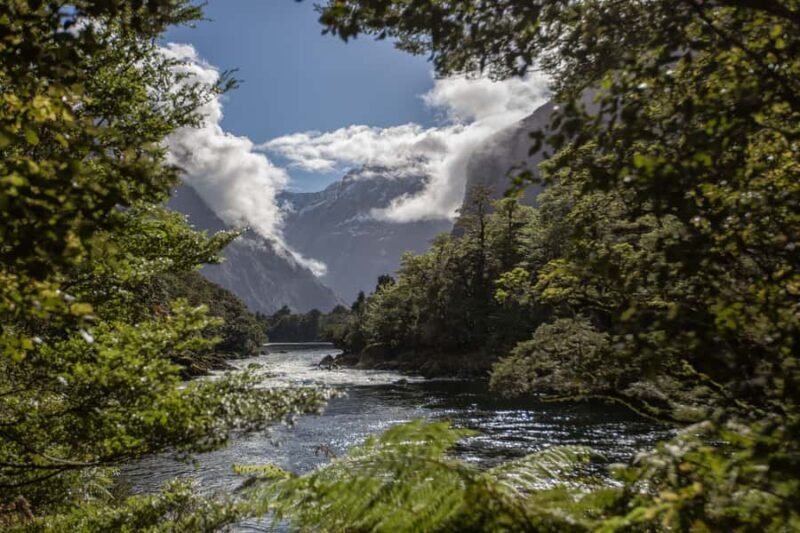 Milford Track: Full Day Guided Hike and Nature Cruise - Key Points