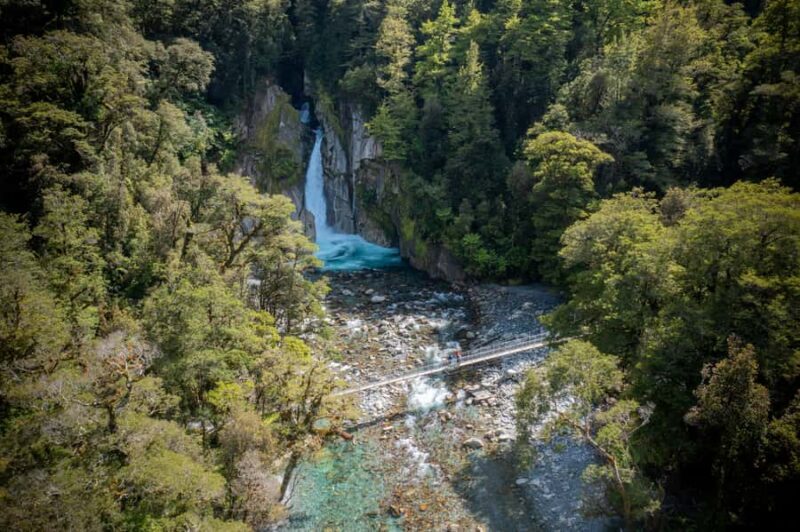 Milford Track: Full Day Guided Hike and Nature Cruise - The Sum Up