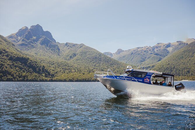 Milford Track Multi-Night Hike - Water Taxi Transport - Authentic Experiences From Real Travelers