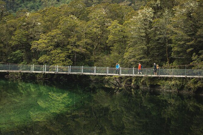 Milford Track Multi-Night Hike - Water Taxi Transport - Why This Service Fits Different Travelers