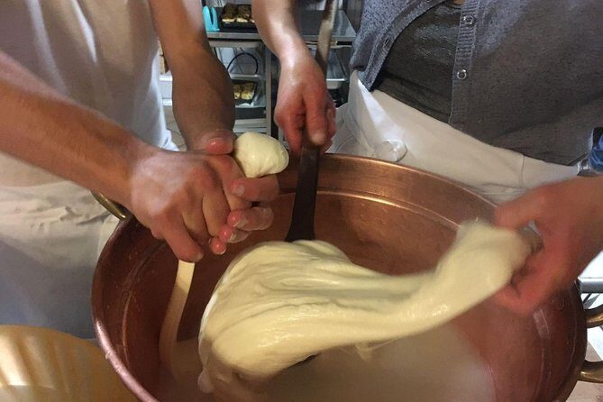 Milk the Cow & Make Mozzarella and Gnocchi with Our Family - Key Points  