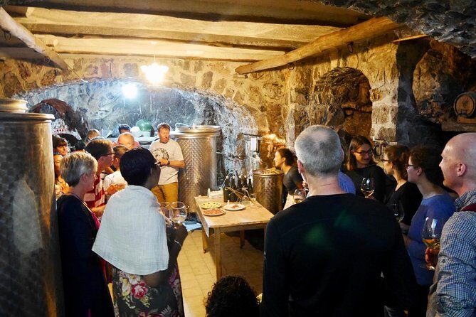 Milk the Cow & Make Mozzarella and Gnocchi with Our Family - Who is this tour best for?