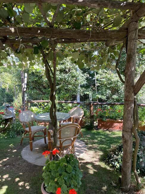 Milk the Cow & Make Mozzarella and Gnocchi with Our Family - A Deep Dive into the Experience