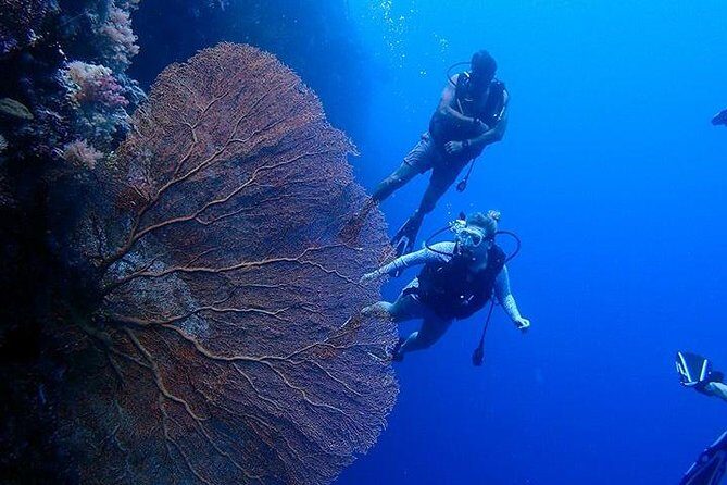 Milky Way, Shark City Island, Beach and Rock Island Tour - FAQ