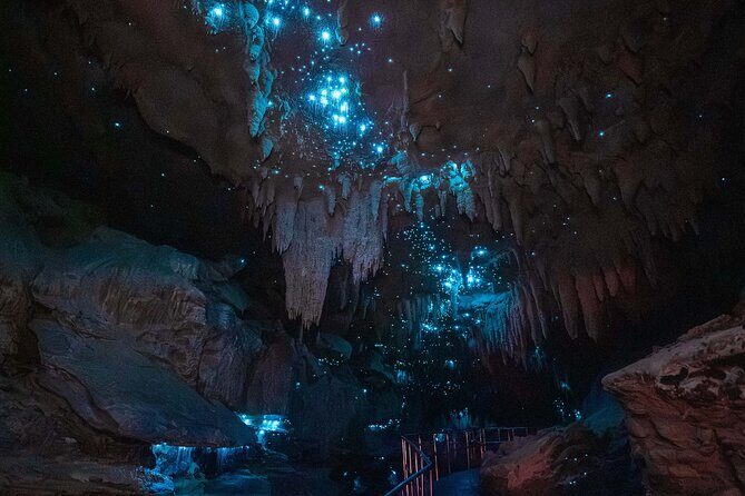 Milkyway Glowworm Cave Tour from Auckland Port - Return Journey: Auckland (Approx. 2 hours)  