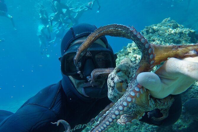 Milos: Half-Day Speedboat Cruise to Kleftiko with snorkeling tour - FAQ