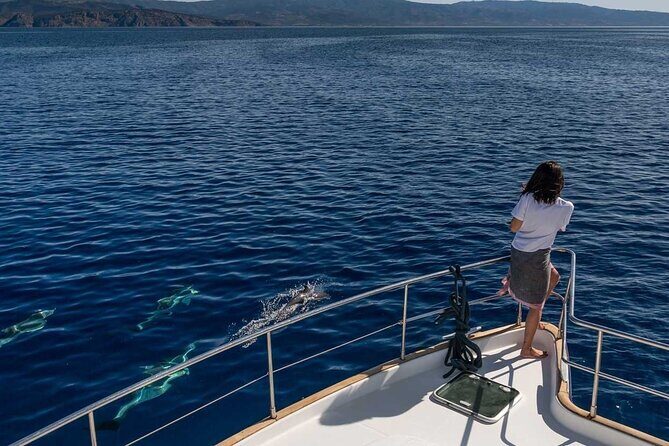 Milos Private Full Day Cruise around Milos - An In-Depth Look at the Milos Private Full-Day Cruise
