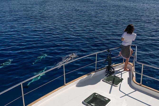 Milos Private Half Day Cruise around Milos - Introduction to the Milos Private Half Day Cruise