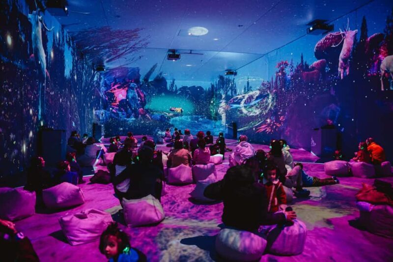 MINA Museum of Immersive New Art, Bucharest - FAQ