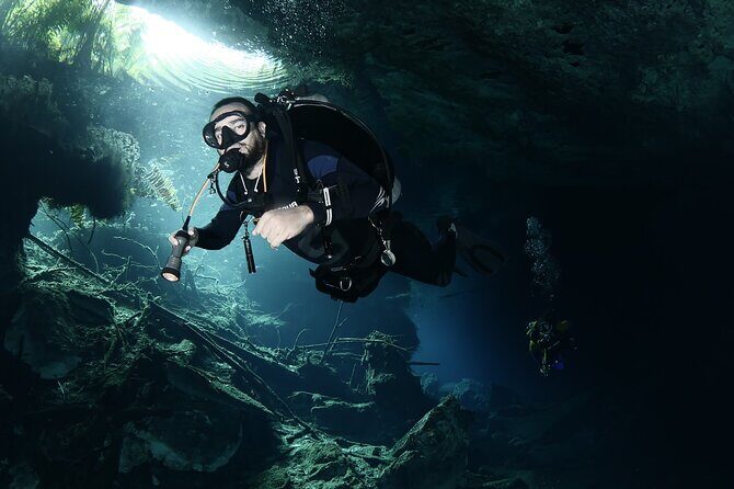 Mind Blowing Cenote Diving Experience In Playa del Carmen - Key Points