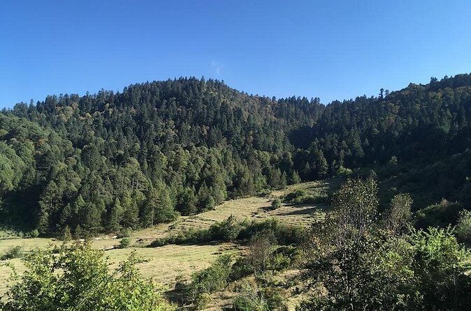 Mineral del Monte Hidalgo Mountain Bike Tour - Why This Tour Works Well