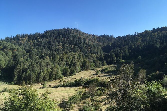 Mineral del Monte Hidalgo Mountain Bike Tour - Who Should Consider This Tour?