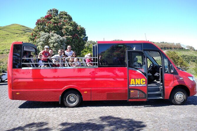 Minibus  Laketour  Furnas  Full Day (Shared) - Who Should Book This Tour?