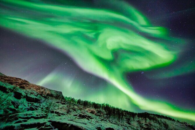 Minivan Northern Lights excursion (8 guests per minivan) - The Value of This Tour