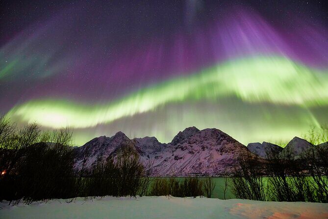 Minivan Northern Lights excursion (8 guests per minivan) - FAQ