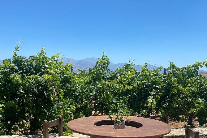 Minoan Crete: Knossos Palace, Winery Visit and Lunch at Peza - Final Thoughts