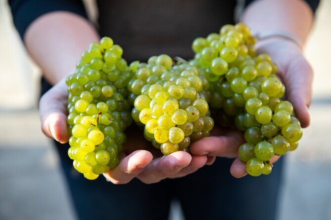 Minoan Crete: Knossos Palace, Winery Visit and Lunch at Peza - Frequently Asked Questions